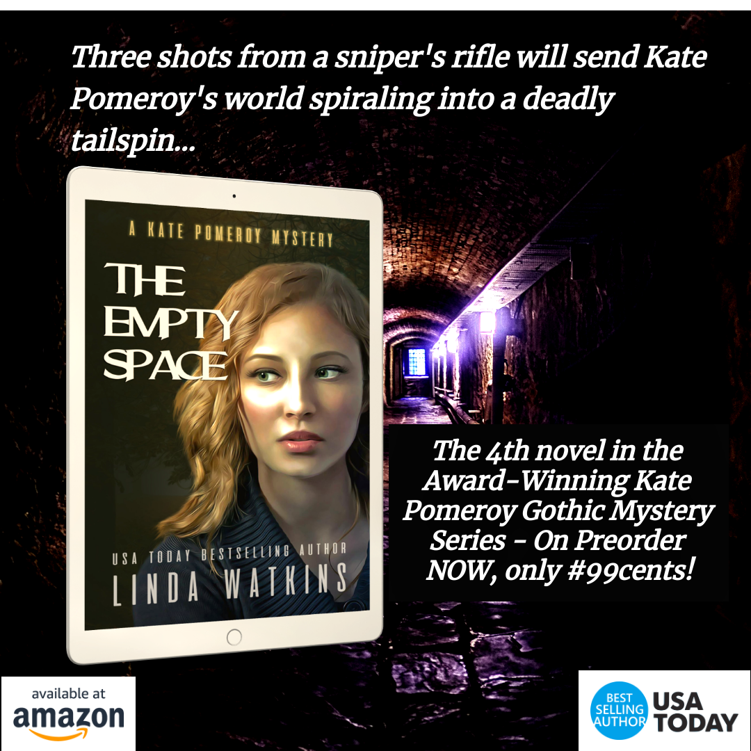 ON PREORDER NOW: The Empty Space, A Kate Pomeroy Mystery! | Linda Watkins